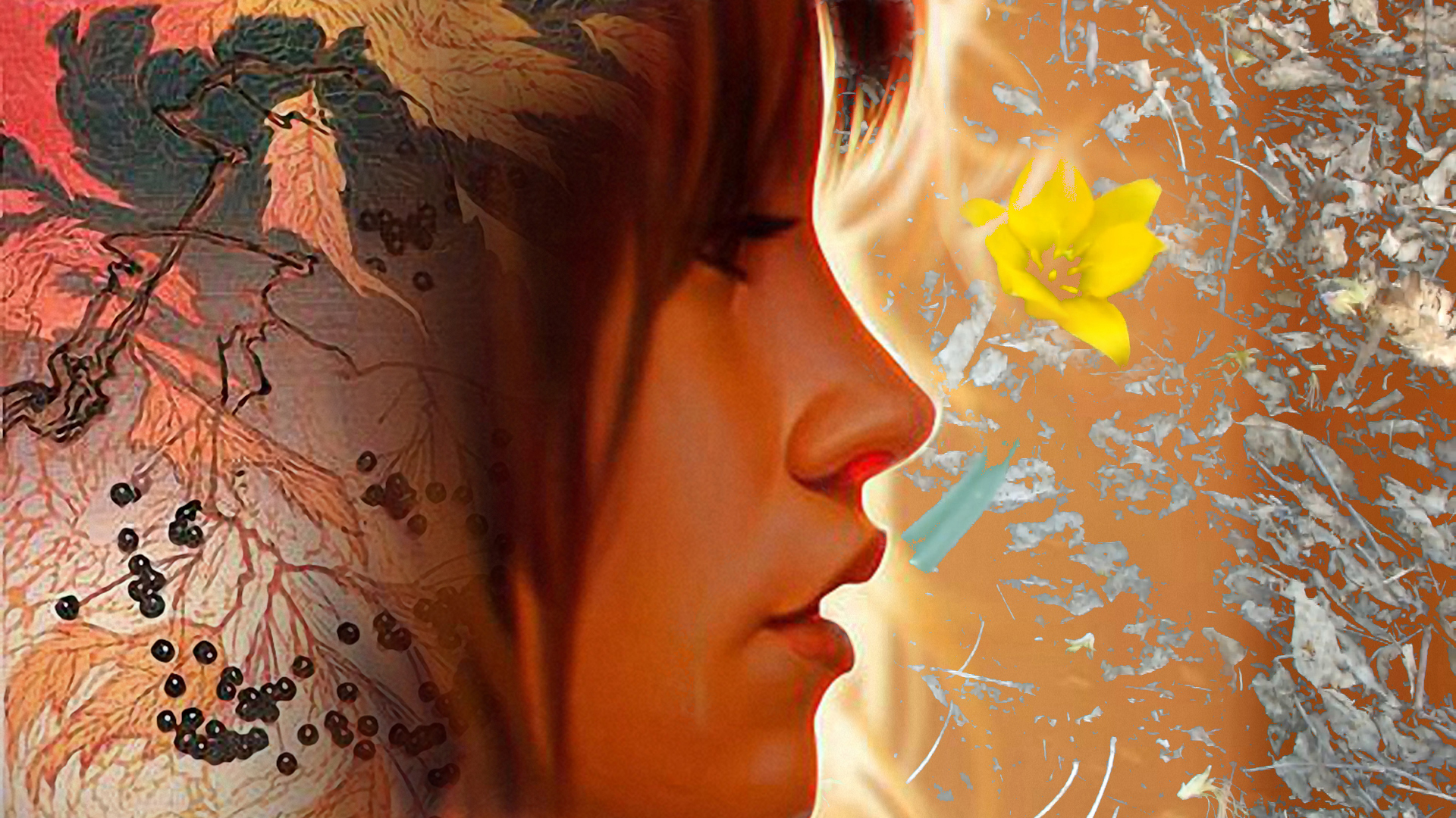 Студия АПРЕЛЬ - Элегия