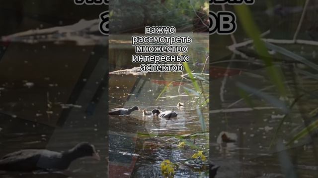 группа 30.07.2024
БЛАГОДАРЮ