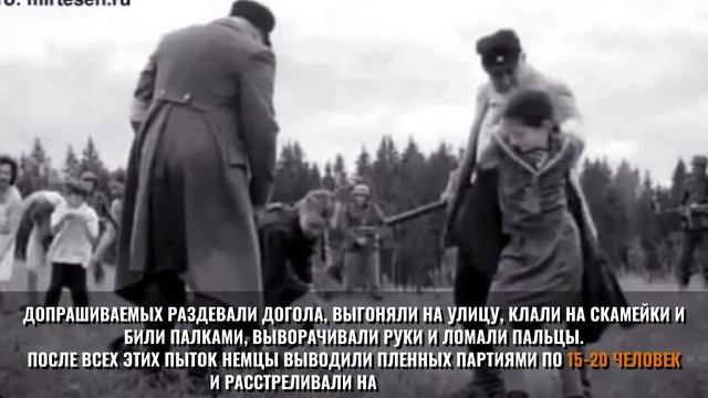 Победа в цифрах и фактах №7