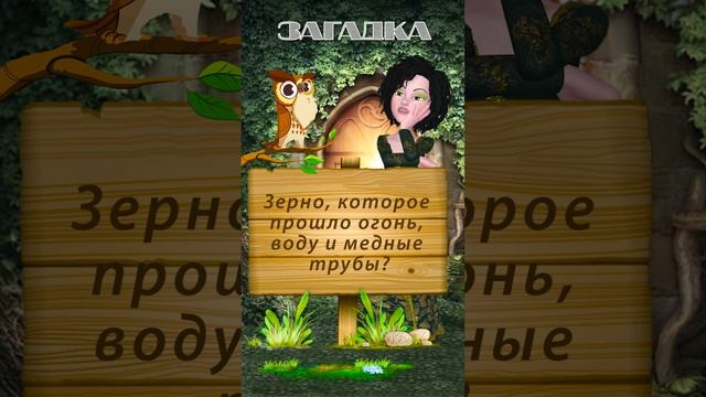Загадка 1001.mp4