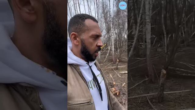 Поселки YUMMI YAM и Чувства ! 🚧🌳🏡