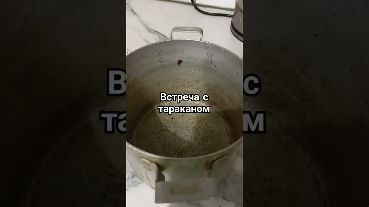 Тараканы в посуде|Подпишись| #тараканывквартире