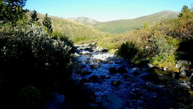 Звуки природы. Журчание горного ручья. Звуки воды для медитации и успокоения