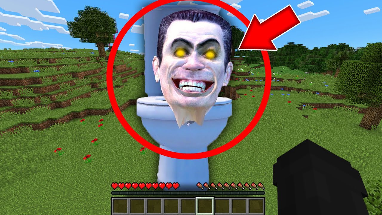 Я нашла СКИБИ ТУАЛЕТ в своем мире в майнкрафт ! SKIBIDI TOILET MEME MINECRAFT