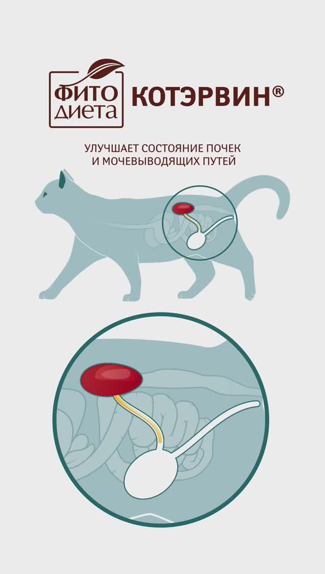 ФИТОДИЕТА КОТЭРВИН - назначение, применение, эффективность