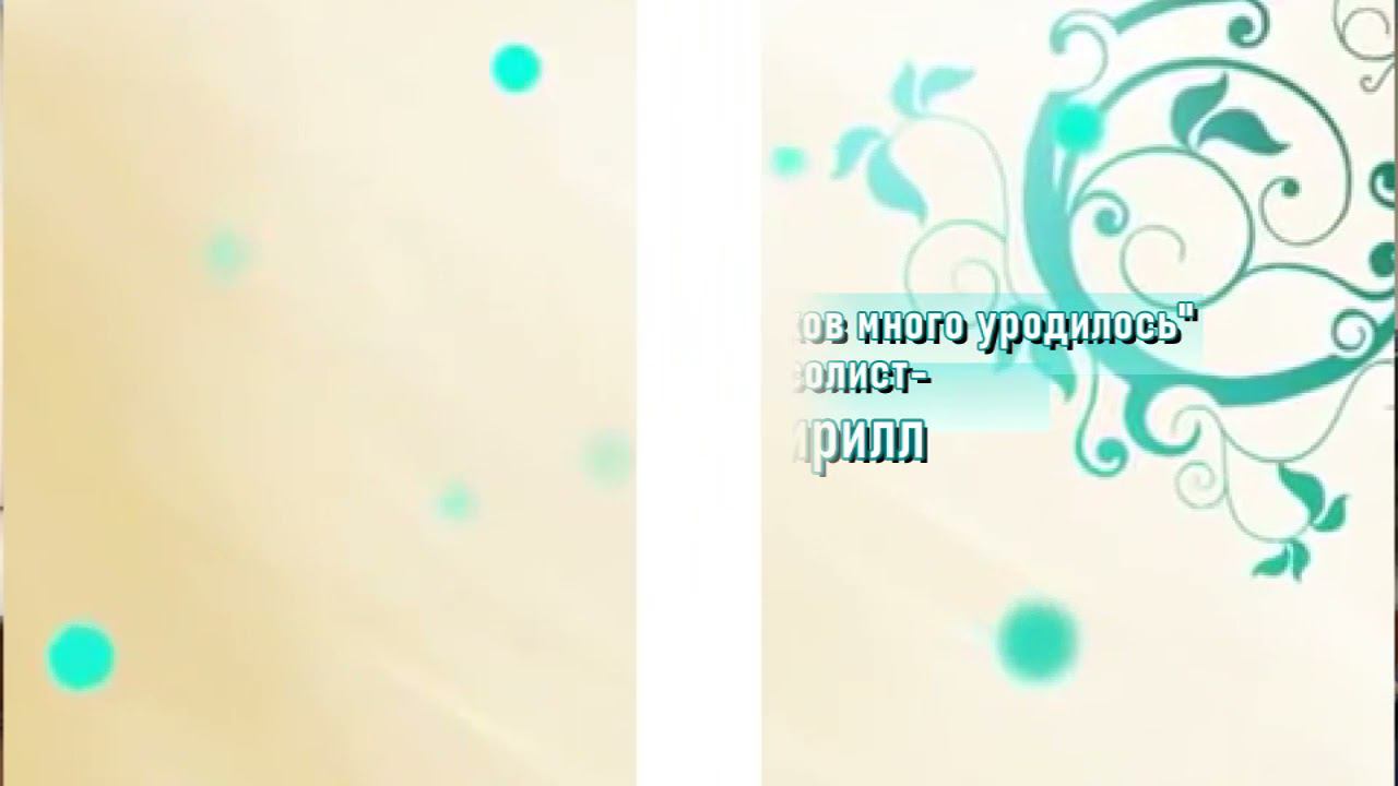 Программа выступления