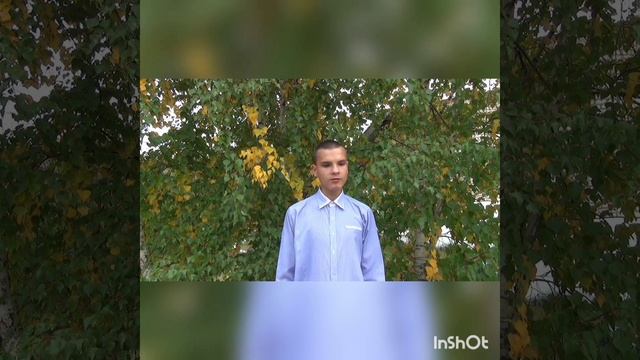Палиофто Сергей, 14 лет, Н.М. Рубцов "Береза"