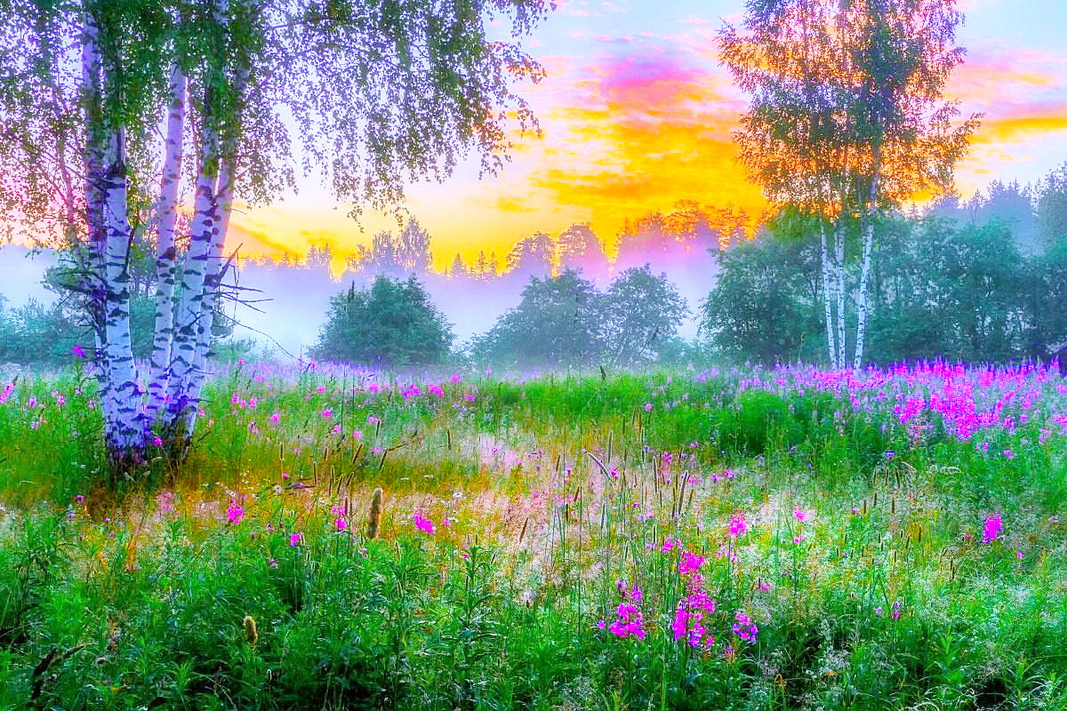 ОСЕННЯЯ РОСА..mp4