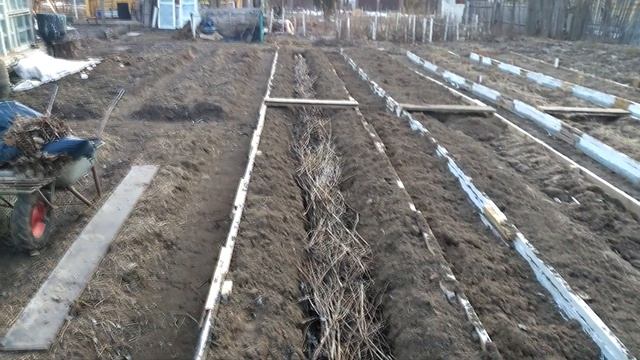 Тёплая грядка Розума. Строительство!.MP4