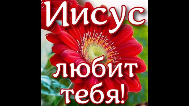 Записки христианки 23. Не ешьте с этого дерева