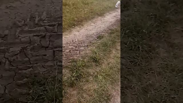 ЛАЙФХАК. как заработать летом в деревне