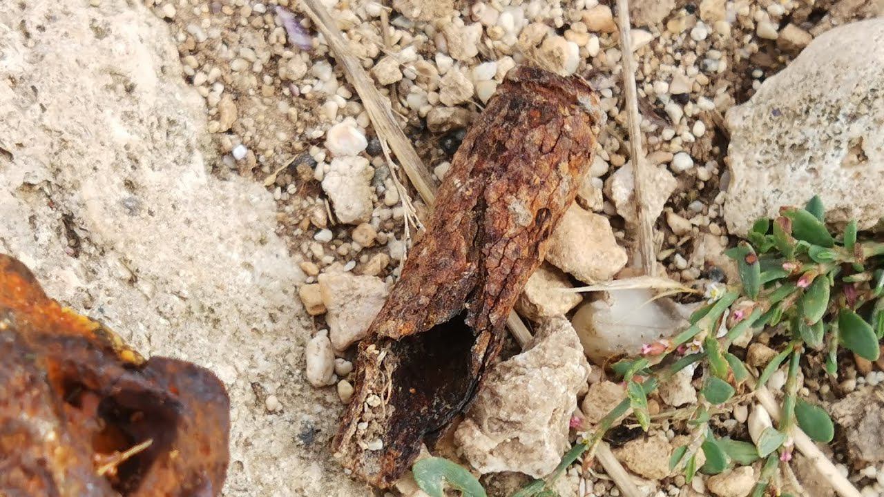 2022. Гильза времен ВОВ и кости. Искали вообще-то пляжи и камушки. 1 часть. 15 сентября. Крым