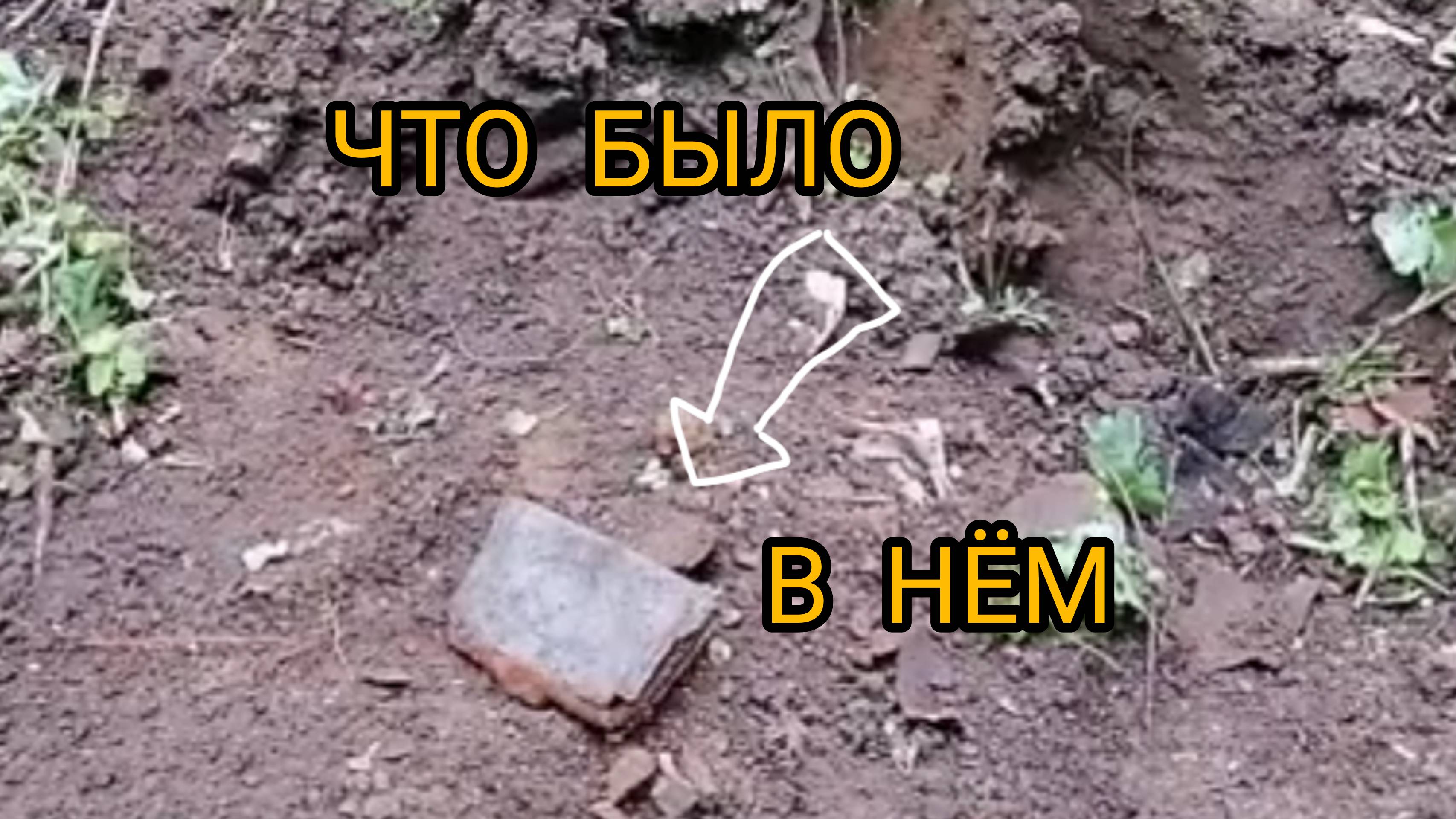 НАШЁЛ КОШЕЛЁК.