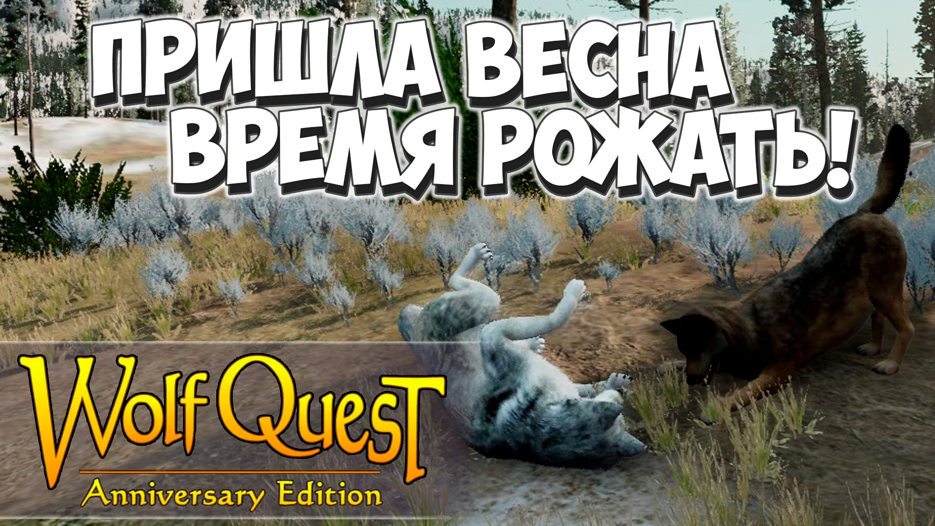 Пережили первую зиму! WolfQuest: Anniversary Edition #9
