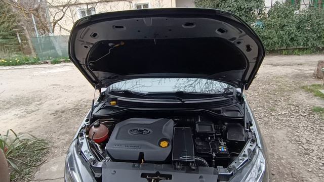 Новые пневмоупоры капота.mp4