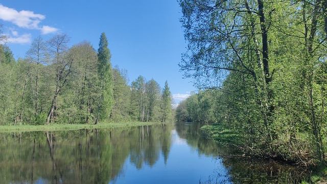 20 мая 2024 с Димкой VID_20240520_122712