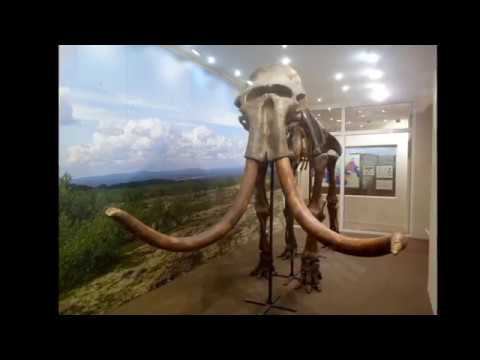 Смоленский исторический музей. Любопытно!