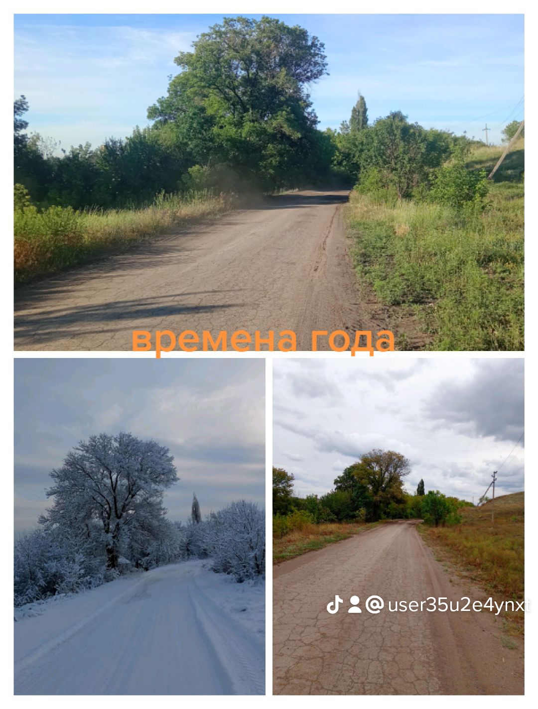 Времена года