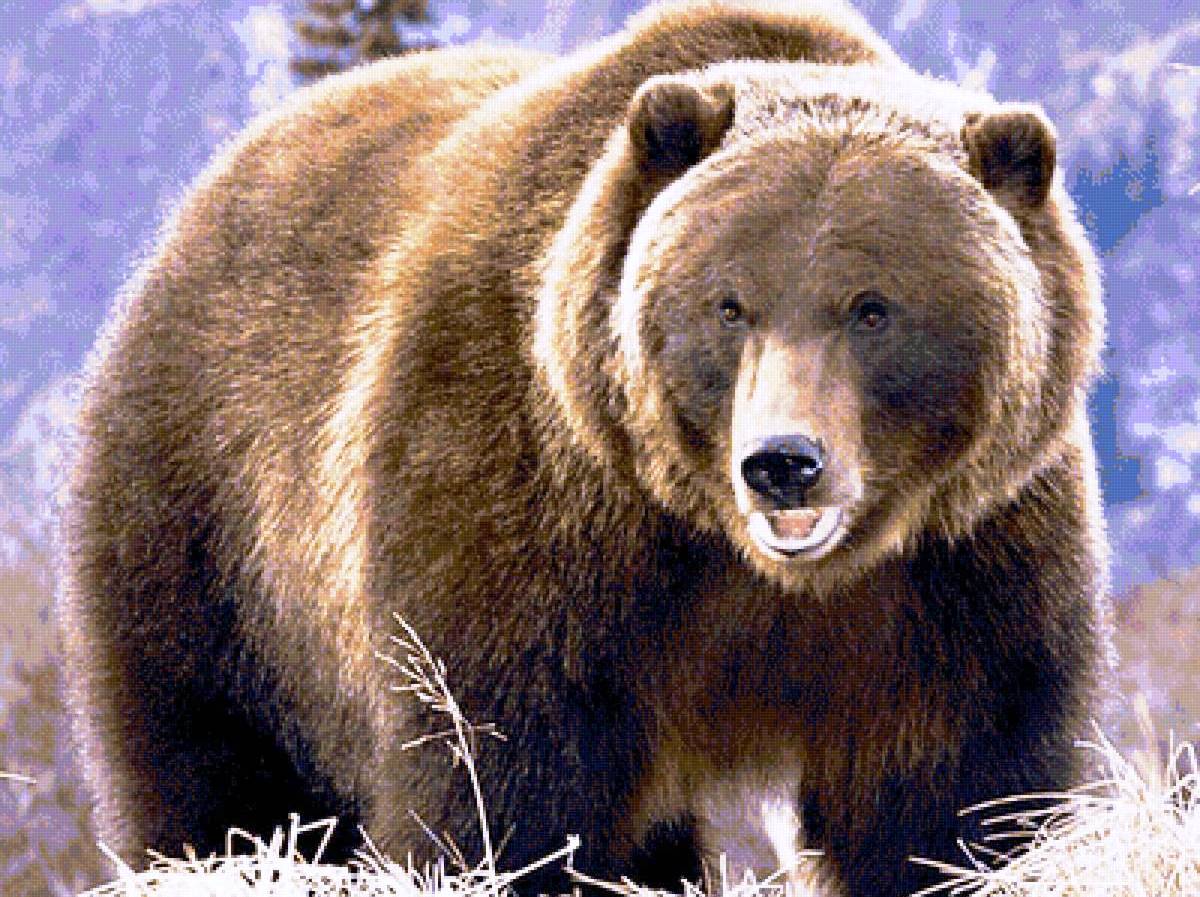 Ф.Шуберт.  Лесной царь.