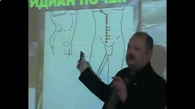 Меридиан почек