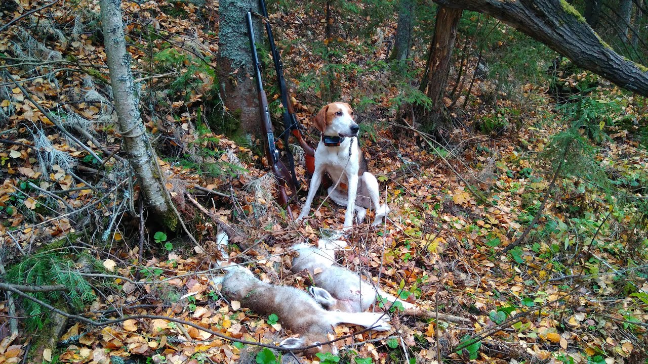 ОТЧАЯЛИСЬ и уже собрались ехать домой, НО... У ЭВЫ на этот счёт были другие планы...