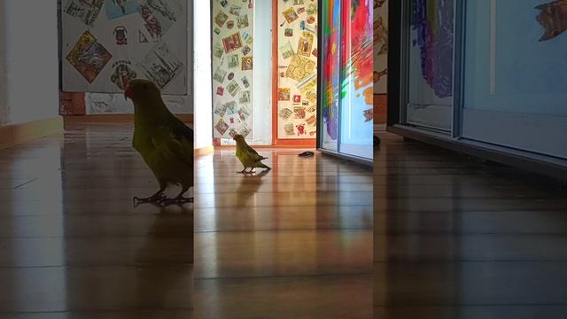 гена воспитывает рыжика.mp4