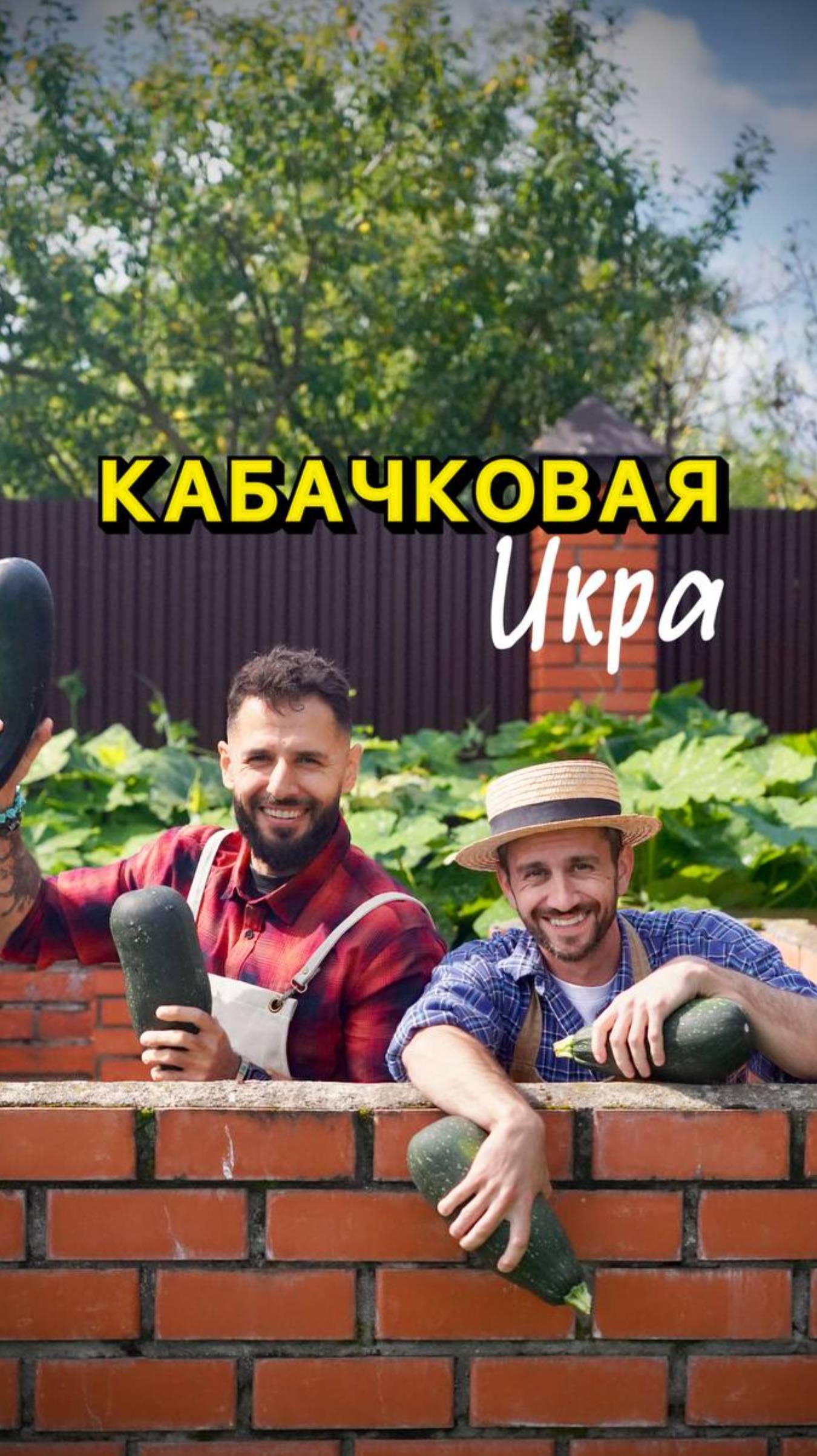 Ирина Кайратовна - Айдахар (ПАРОДИЯ Демьян и Коте)

Икра из кабачка!