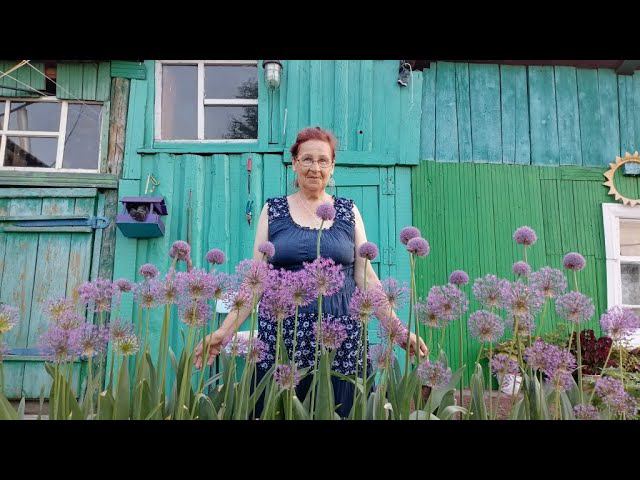 10.06.2023 Упала в обморок/ дачную и огородную жизнь ставим на паузу