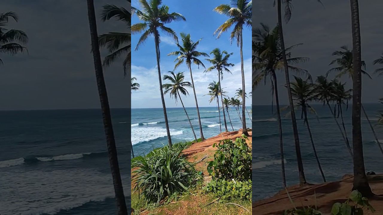 Шри Ланка порадовала нас своими видами и теплым океаном #shrilanka #travel #шриланка #океан