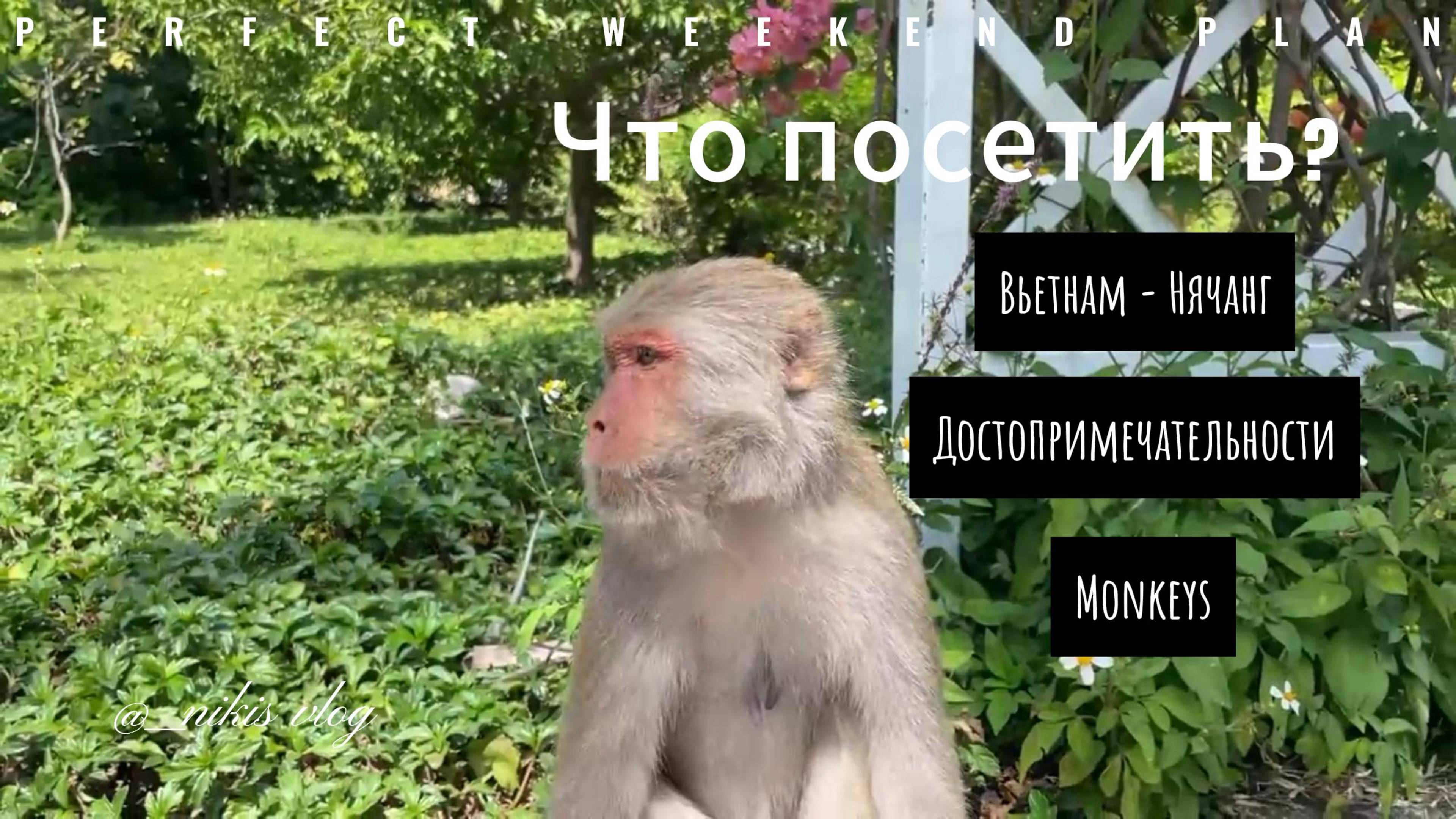 Путешествие по Вьетнаму Нячанг. Что посмотреть? Достопримечательности, остров обезьян, водопад БаХо.