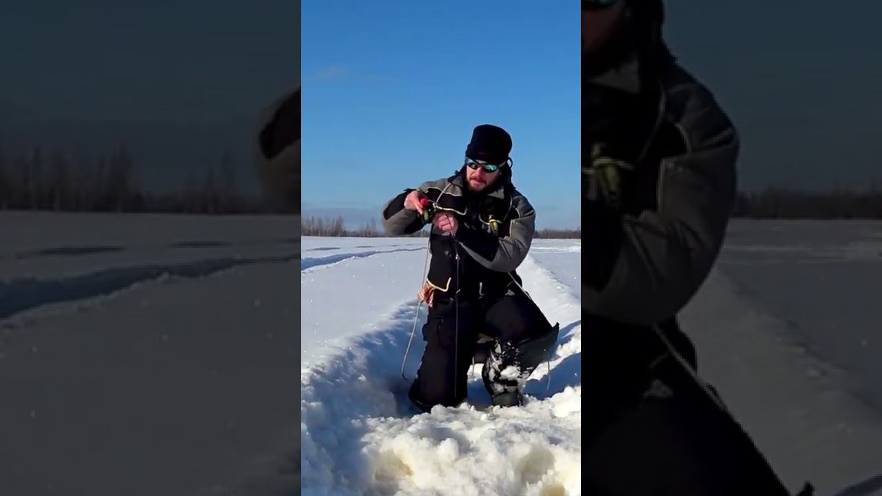 Щука со льда #short #shorts