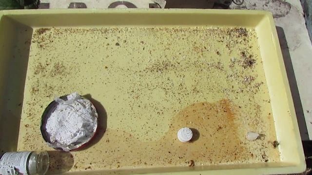 июнь на пасеке - обязательная обработка отводка от клеща Варроа и результат обработки на 2 день.mp4