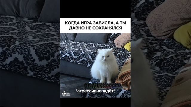 Типичные геймеры, когда игра зависла