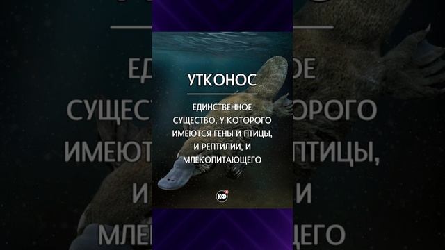 Интересные факты #факты #рекомендации