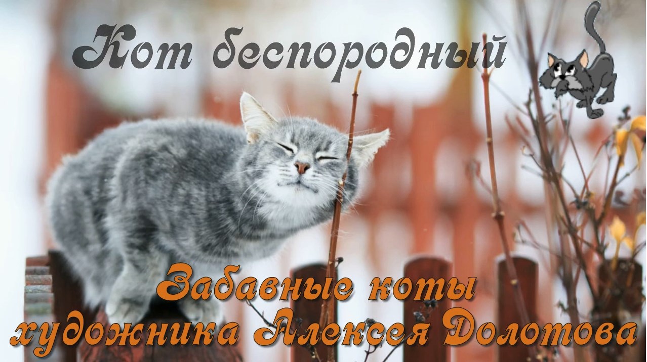 Кот беспородный Веселые забавные картины художника Алексея Долотова.mp4