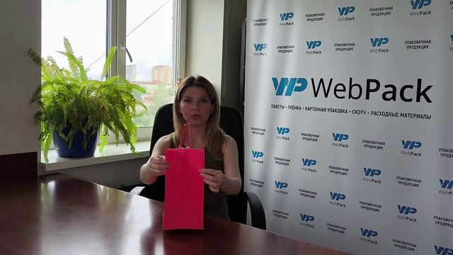 Крафт пакет с кручеными ручками, 240*140*280 (Ш*Г*В) мм (красный)