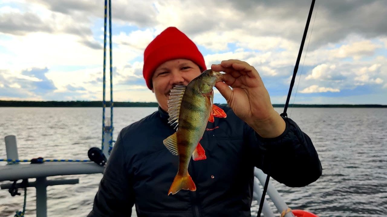 как ловить ОКУНЯ Осенью на СПИННИНГ, Финский залив