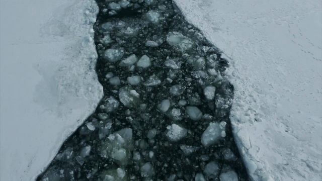 Читает ЯН - Шел человек