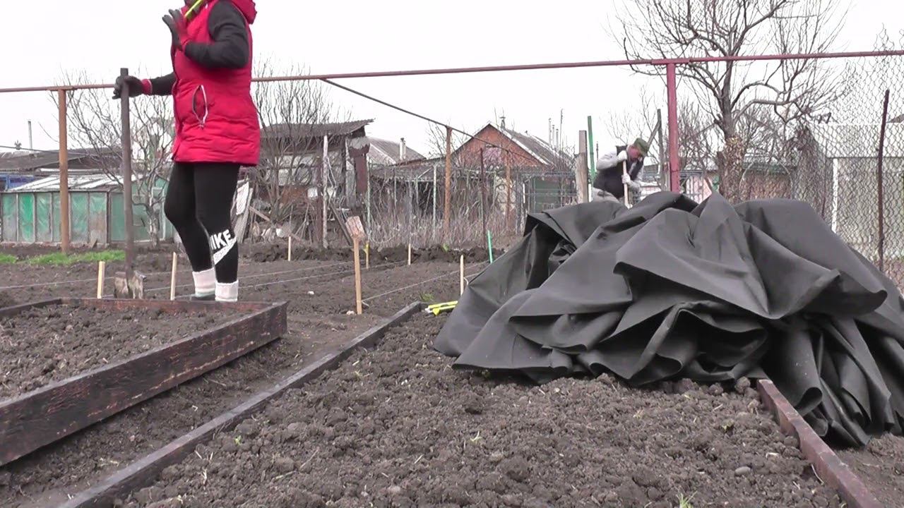 Посадка клубники от и до. Подписывайтесь на канал)))