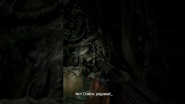 ▶Aliens vs. Predator. Десантник. Спасение Текилы.