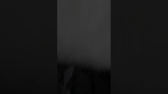 обзор на домик моего кота