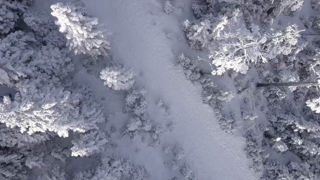 'Volkslied' 'Творческое содружество Листая небо' 'Игорь Фёдоров' 'Дождь о тебе'