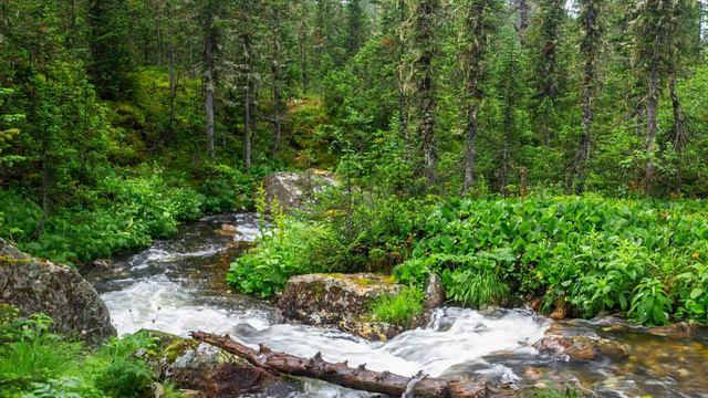 Путешествие в страну чудес Ергаки, Водопад Жемчужный и река Малая Буйба,2021г,часть 2