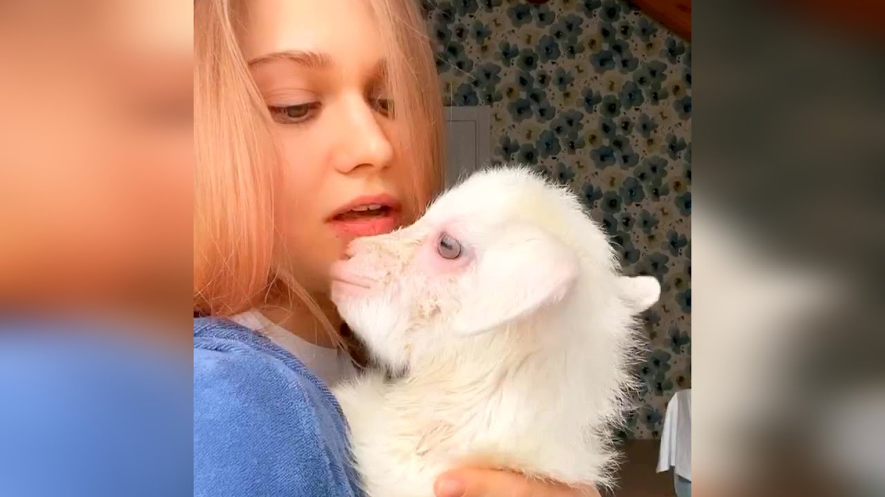 Поля из деревки кормит козленка / Алёнушка в реальной жизни / Красавица без фильтров