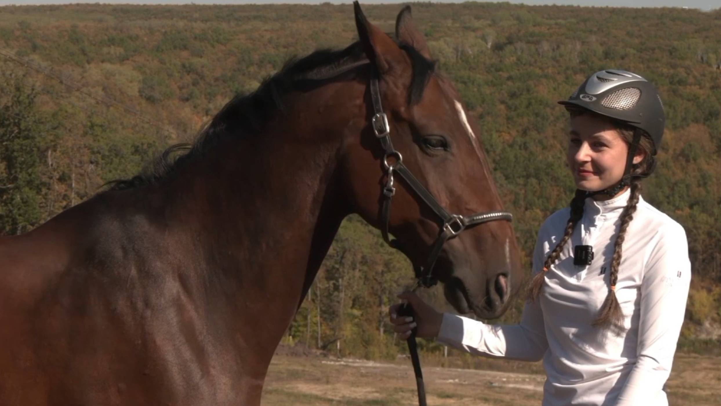 Финал Кубка КСК 2024