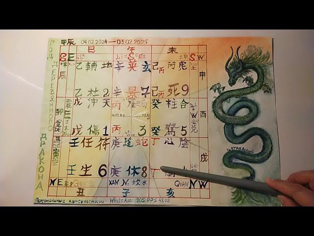 Собаки и Кабаны в 2024 году, Северо-Западный дворец годовой карты 2024 Ци Мэнь Дунь Цзя. Обзор