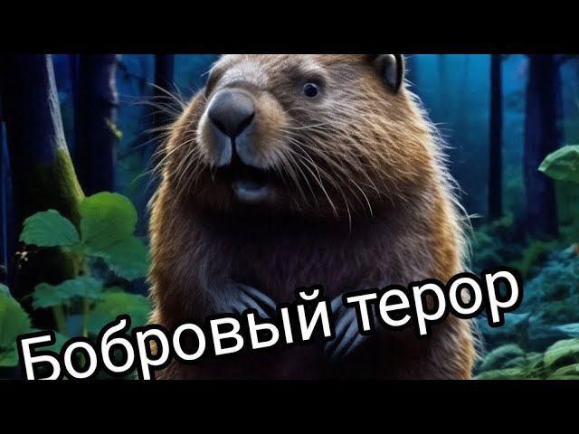 Бобровый терор 5