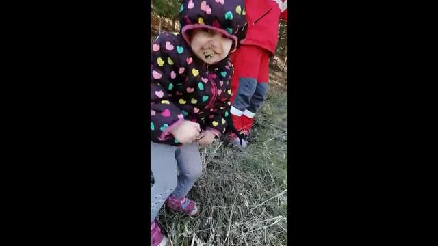 май 2020 (сарка)