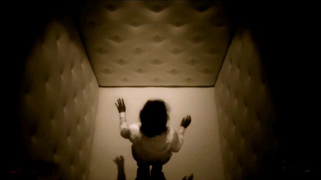 П.Кашин - Дубровский