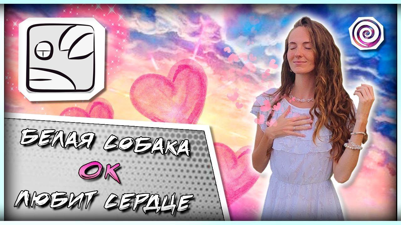 10. БЕЛАЯ СОБАКА | СОЛНЕЧНАЯ ПЕЧАТЬ КАЛЕНДАРЯ МАЙЯ